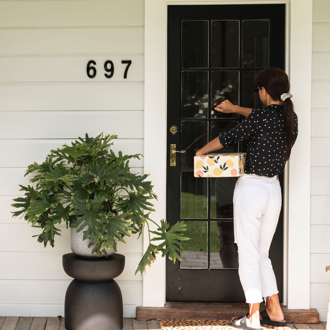Fruit & Fragrance Gift Box Twisted Citrus
