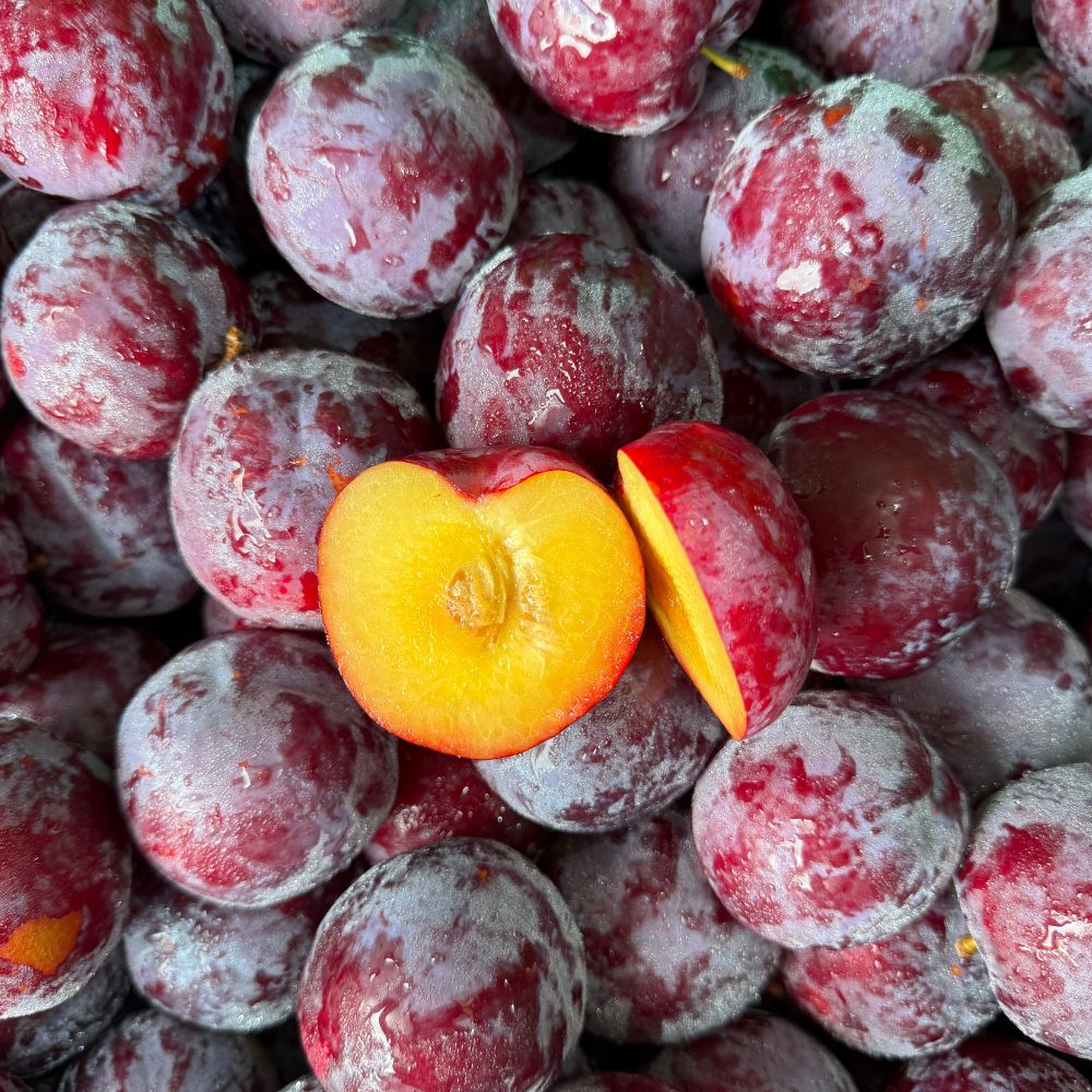 Buy NZ Red Beaut Plums Online | Orchard Fresh Fruit