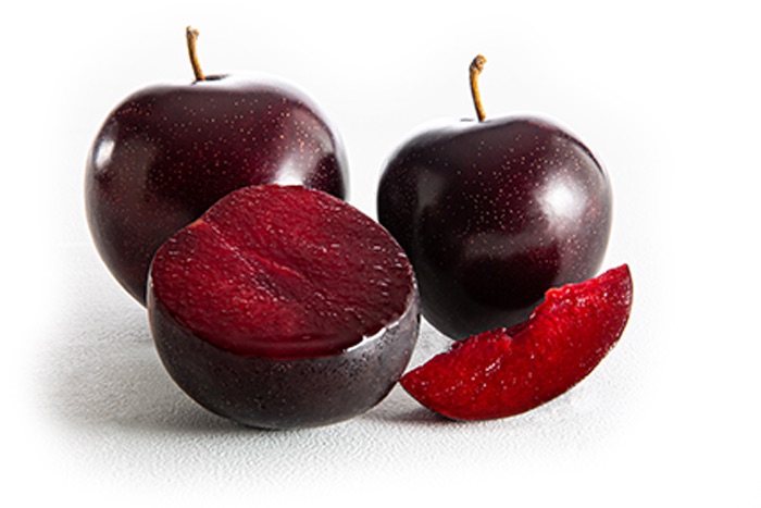 NZ Fruit In Season | Twisted Citrus